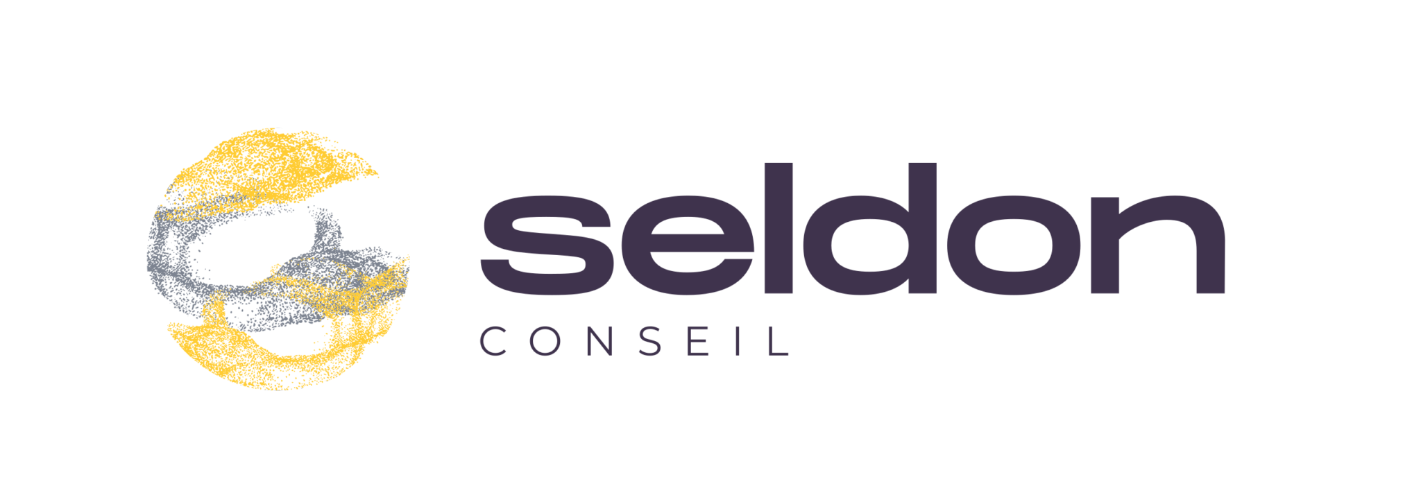 Accueil - Seldon Conseil